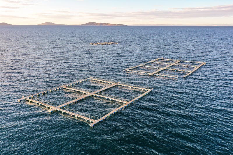 Cages for Trout Breeding in Lake Titikaka Stock Photo - Image of ...