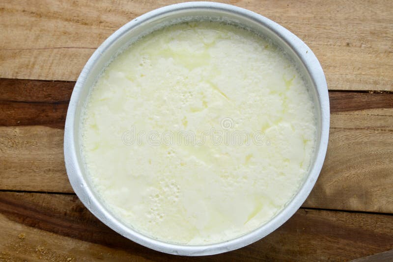 Cagliata indiana fotografia stock. Immagine di menta - 34436294