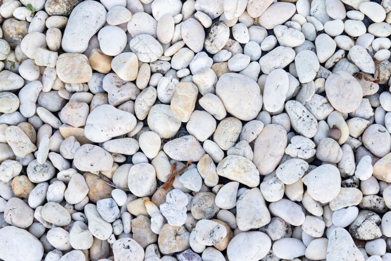 Fond En Pierre De Texture De Cailloux Blancs Image stock - Image du ...