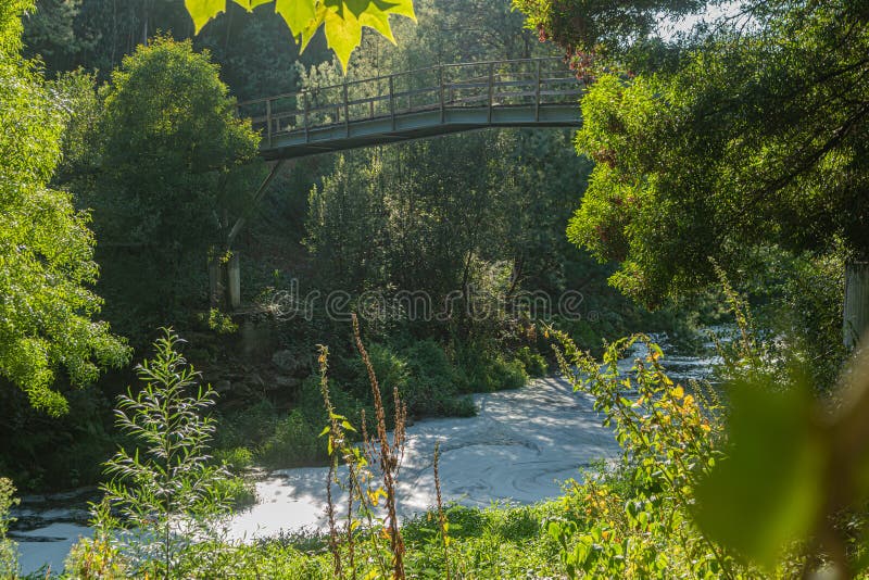 Caima river pollution stock image. Image of environmental - 260382725