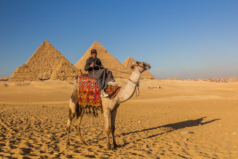 CAIRO, EGYPT - JANUARY 28, 2019: Camel Rider in Front of the Great ...