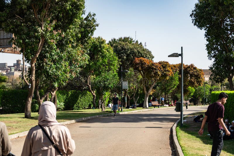 Cairo, Egypt - 05 04 2025: Muhammad Ali Mosque and Cairo Citadel. View ...