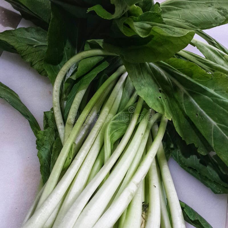 Caisim Leaves for Cooking with Green Leaves and White Stems Stock Photo ...