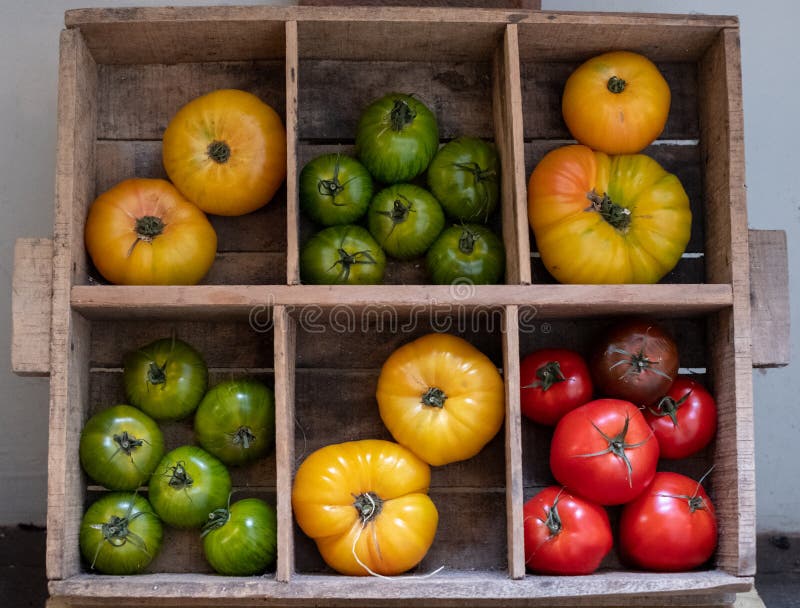 Caixa De Madeira Com Diversos Tipos De Tomate De Diferentes Cores Nos ...