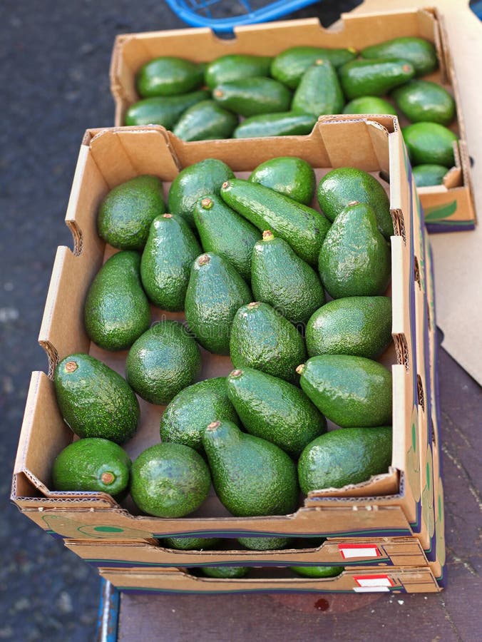Caixa do abacate foto de stock. Imagem de vegetal, abacate - 32978980
