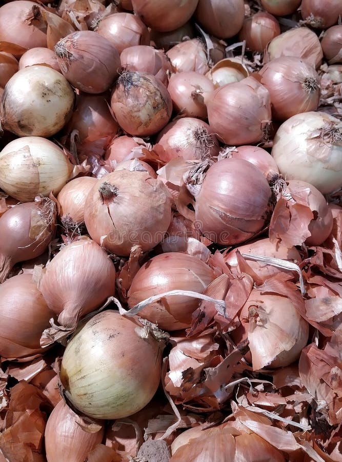 Cajas Con Cebolla Fresca En El Supermercado Imagen de archivo - Imagen ...
