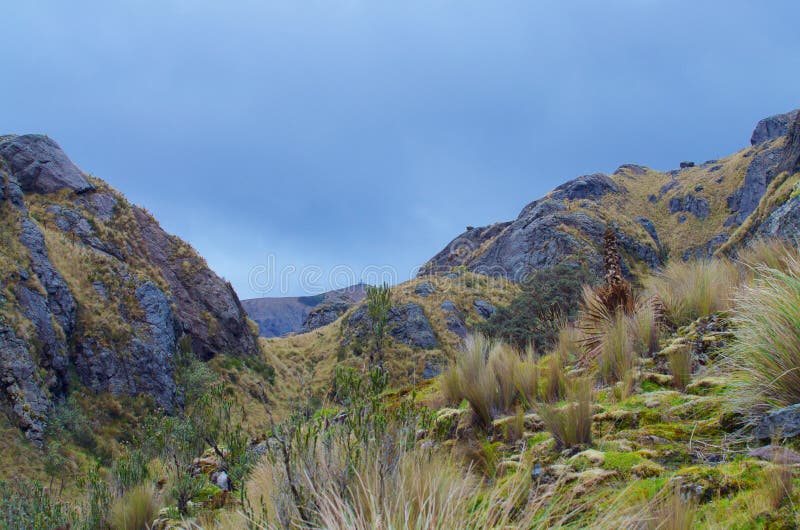 Cajas National Park, Andean Highlands, Ecuador Stock Photo - Image of ...