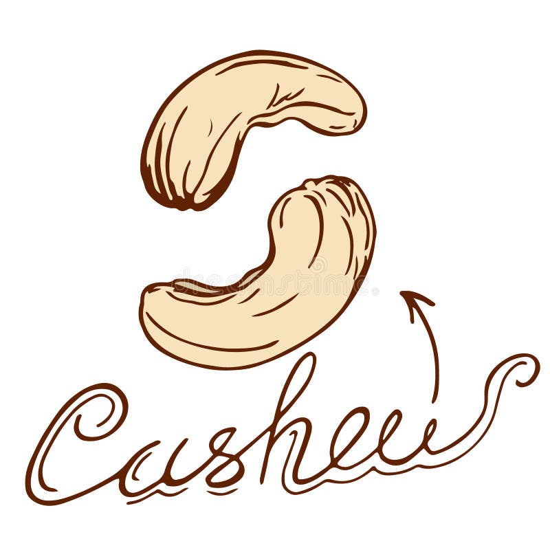 Logotipo Do Caju, Estilo Do Vintage Ilustração do Vetor - Ilustração de ...