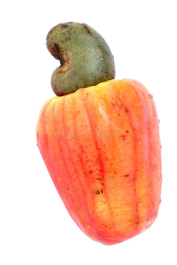 Fruta do caju foto de stock. Imagem de porca, orgânico - 12407836