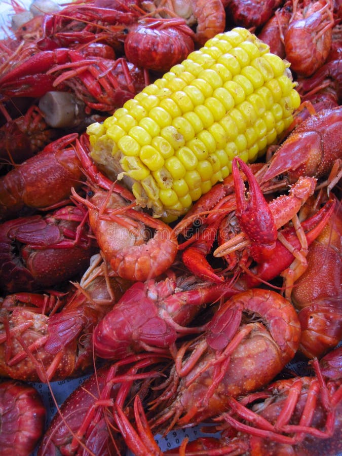 Cajun Boiled Crawfish stock image. Image of corn, food - 15213097