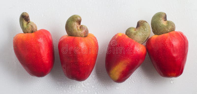 Fruto Maduro Fresco Do Caju De Caju Do Brasileiro Imagem de Stock ...