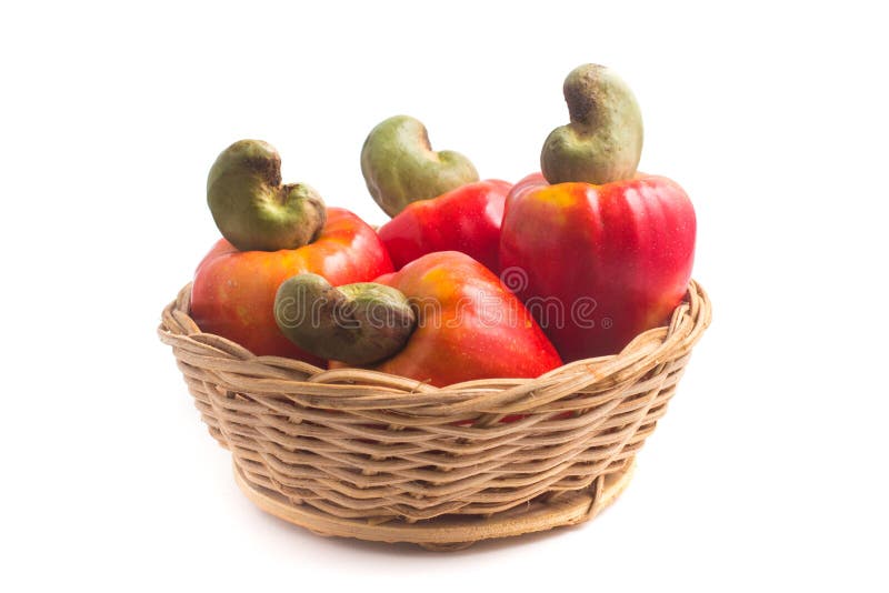 Cajus ou fruto de Caju foto de stock. Imagem de fresco - 91921122