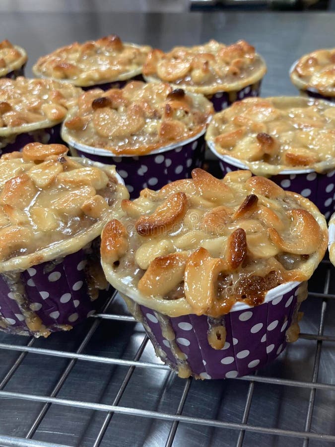 Cake stock photo. Image of cakes, plant, chocolate, buttercream - 307506368