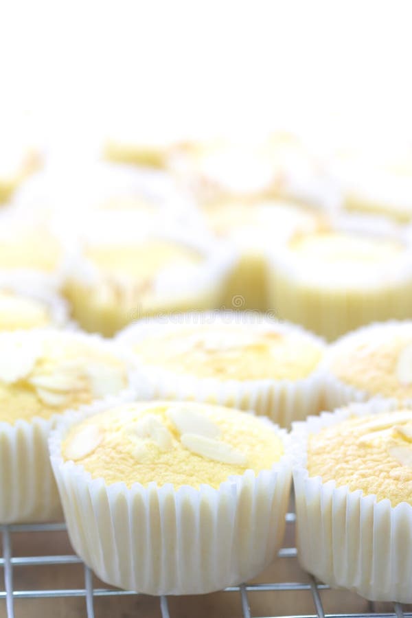 Cake stock photo. Image of food, closeup, confectionery - 37539646