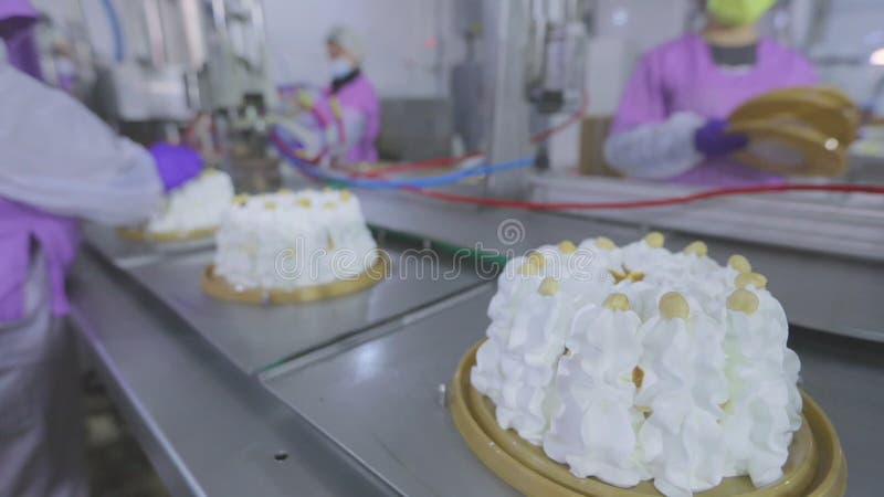 Cake Production. Production of Cakes in a Modern Factory. Cake on the ...