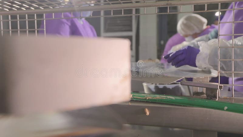 Cake Production. Production of Cakes in a Modern Factory. Cake on the ...