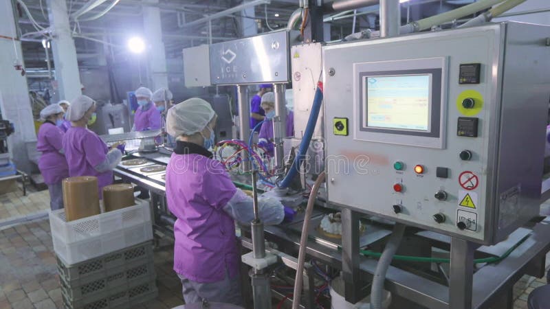 Cake on the Conveyor Line. Cake Production. Production of Cakes in a ...