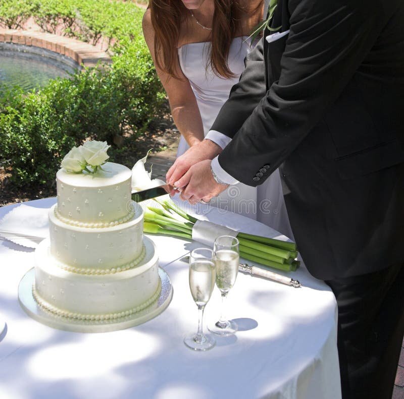 Cake cutting stock photo. Image of champagne, knife, fancy - 7860356