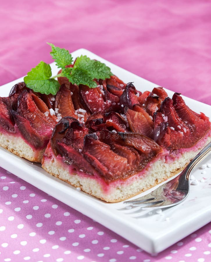 Cake with Damson Plums (Prunus Insititia) Stock Image - Image of plum ...