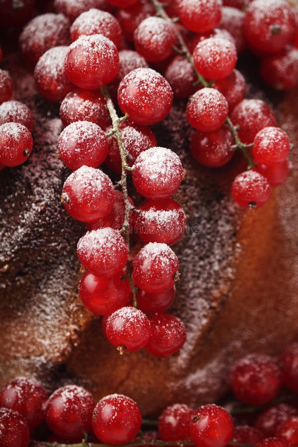 A Cake with Fresh Red Currant and Tea Stock Image - Image of dessert ...