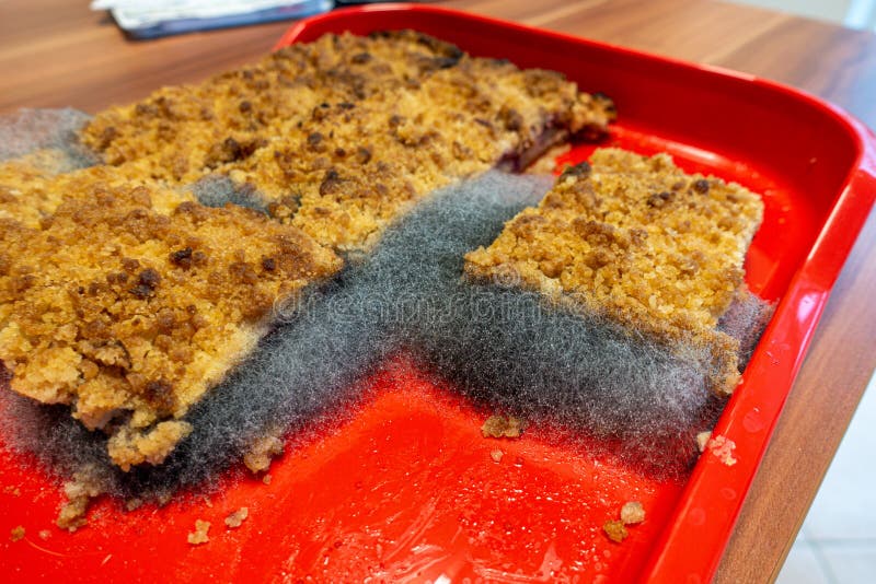 280 Rotten Cake Stock Photos - Free & Royalty-Free Stock Photos from ...