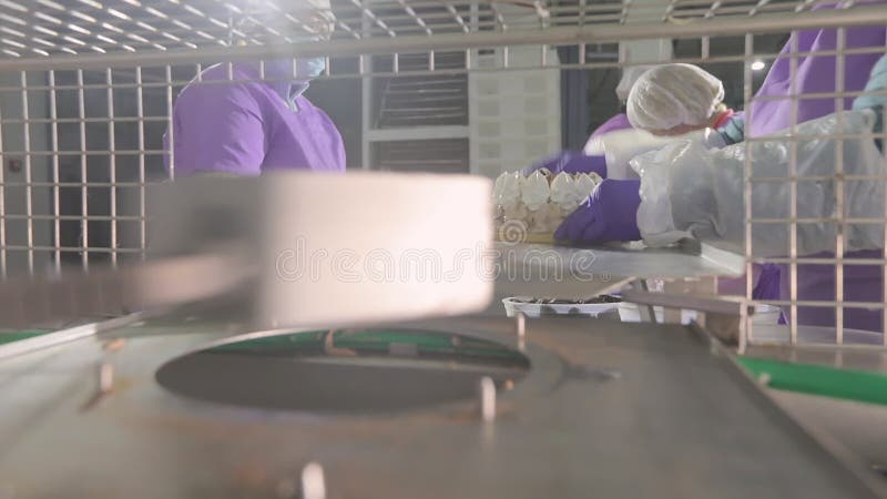 Cake Production. Production of Cakes in a Modern Factory. Cake on the ...