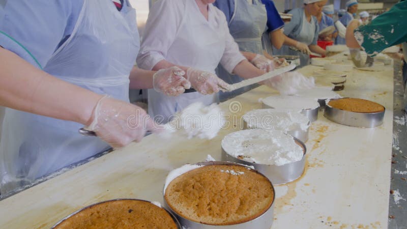 Cake Production. Production of Cakes in a Modern Factory. Cake on the ...