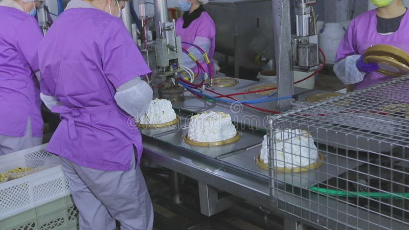 Cake Production. Production of Cakes in a Modern Factory. Cake on the ...