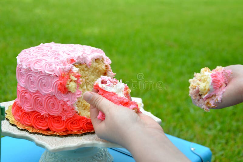 Cake Smash stock photo. Image of party, cakes, happy - 72509998