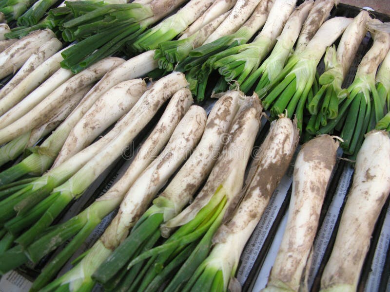 Cal Fire Region Map Stock Photos - Free & Royalty-Free Stock Photos ...