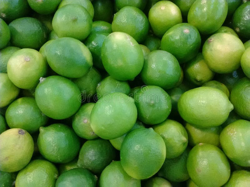 Cal imagen de archivo. Imagen de detalle, fresco, alimento - 55052055