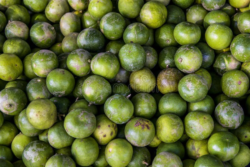 Cal imagen de archivo. Imagen de ingrediente, salud, provechoso - 56212995