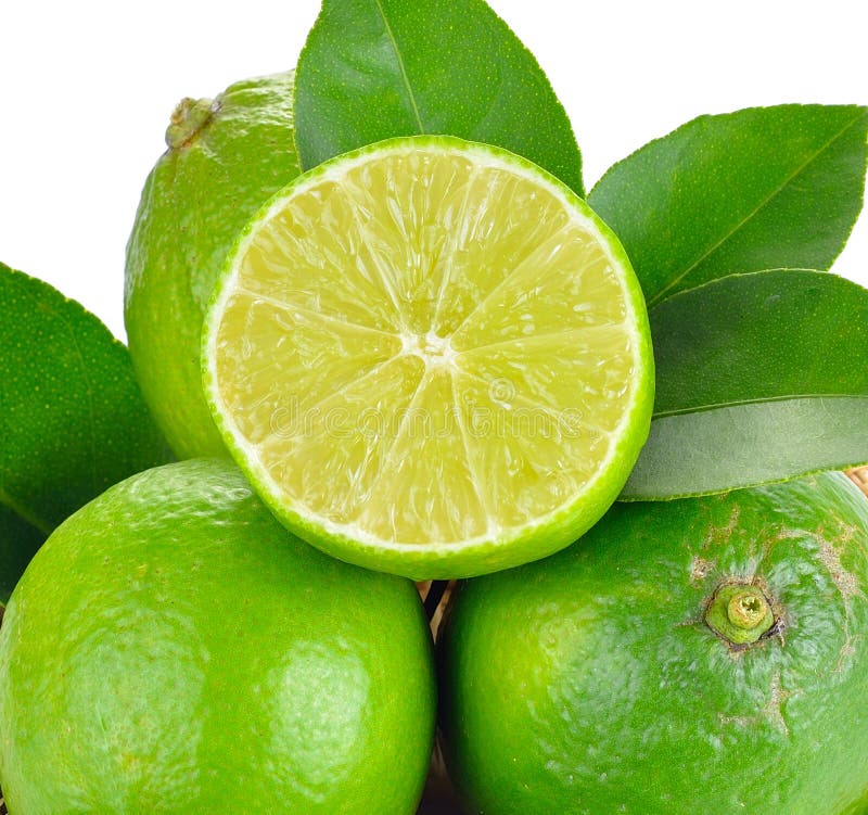 Cal Fresca En El Fondo Blanco Imagen de archivo - Imagen de comer ...