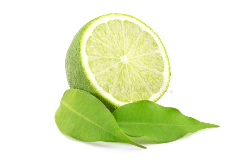 Cal verde imagen de archivo. Imagen de rebanada, corte - 23137013
