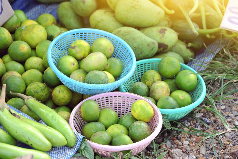 Cal Verde Fresco No Mercado Local Imagem de Stock - Imagem de citrino ...