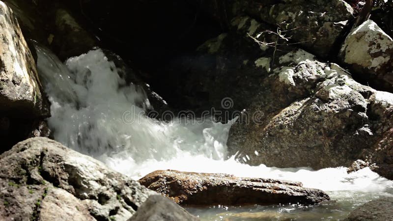 Cala Del Río De La Selva De La Cascada Metrajes - Vídeo de turismo ...