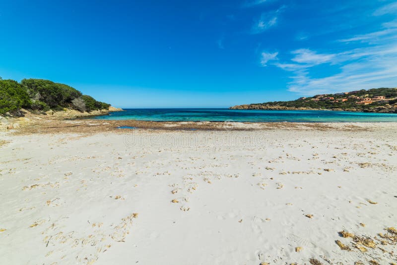 Cala Granu Shore in Costa Smeralda Stock Photo - Image of cala, park ...