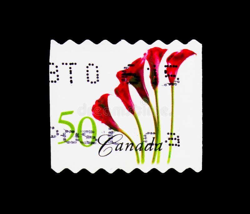 Cala Roja, Serie De Definitives De La Flor (1ra Serie), Circa 200 ...