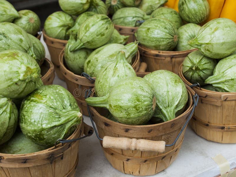 Calabacita stock photo. Image of squash, vegetare, vegetus - 26096048