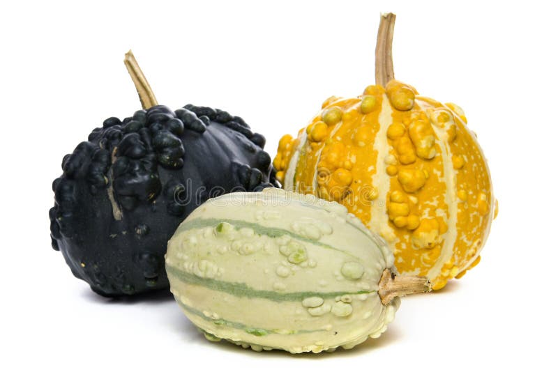 Different Calabashes Stock Photos - Free & Royalty-Free Stock Photos ...