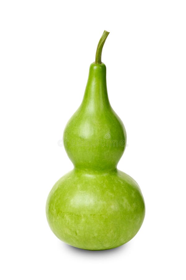 Green bottle gourd stock photo. Image of bottle, herbal - 19946326