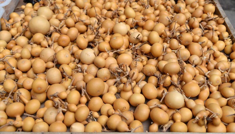 Calabash. stock image. Image of element, container, shui - 65086015