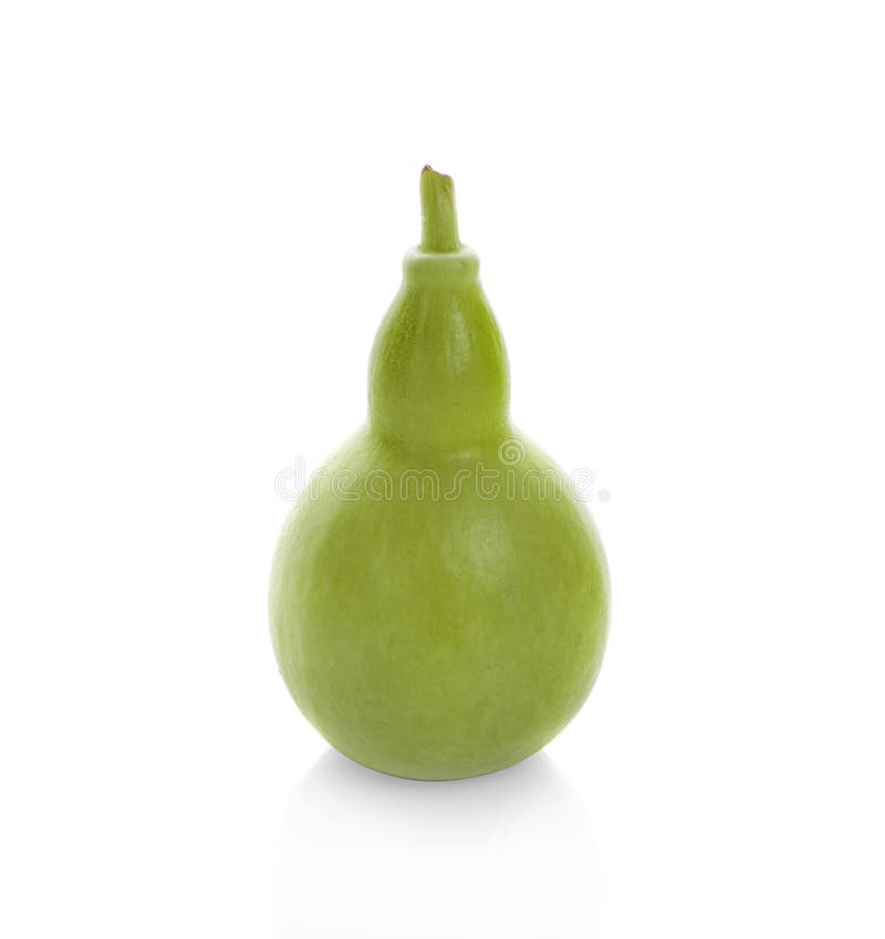 Calabash or Bottle Gourd Tunnel Stock Image - Image of farm, gourd ...