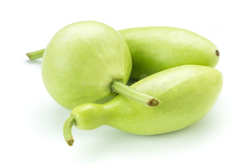 Calabash stock photo. Image of health, ripe, squash, healthy - 83956534