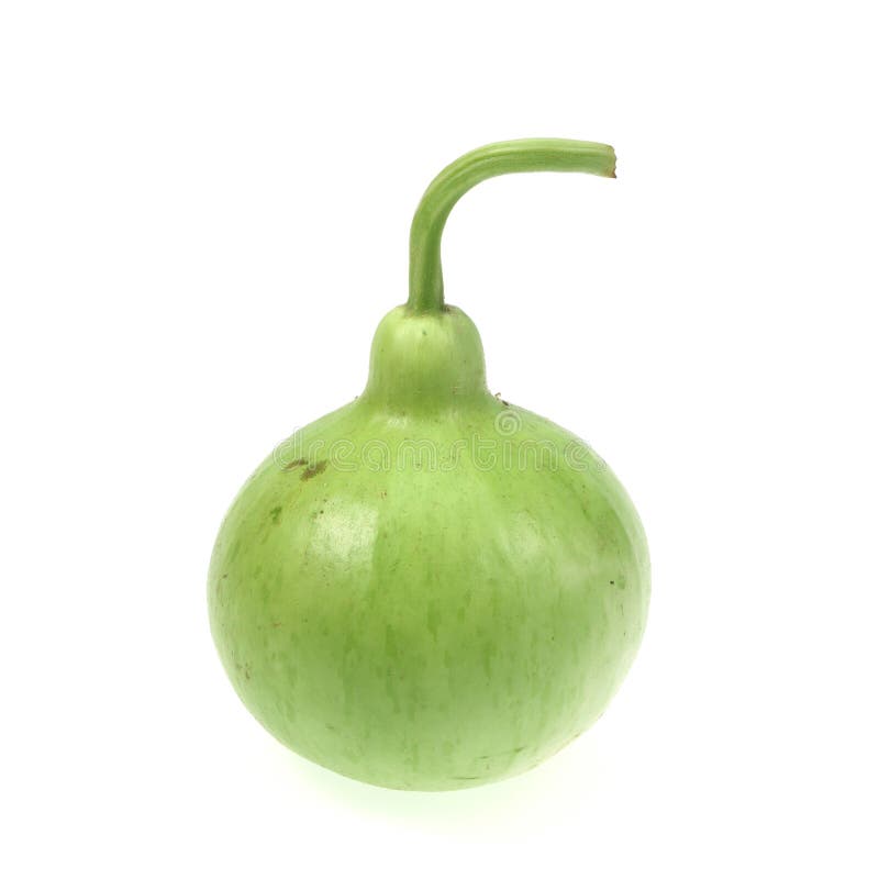 2,026 Calabash Bottle Gourd Stock Photos - Free & Royalty-Free Stock ...