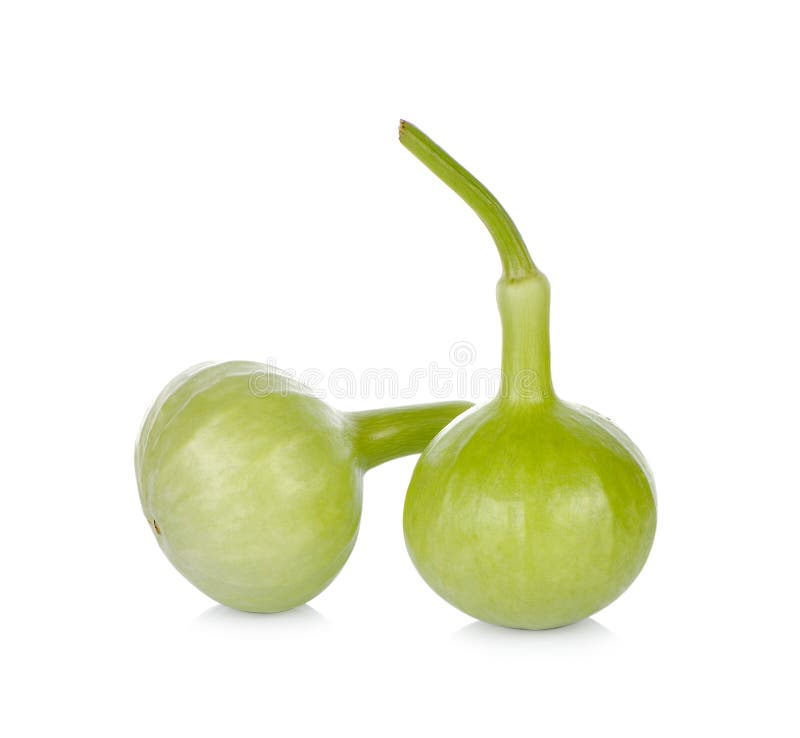 Calabash or Bottle Gourd Tunnel Stock Photo - Image of food, asian ...