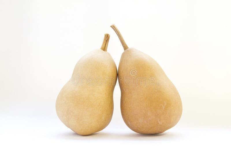 114 African Calabash Stock Photos - Free & Royalty-Free Stock Photos ...