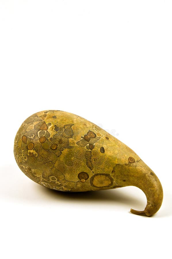 Calabash Isolated on White Background Stock Photo - Image of calabash ...