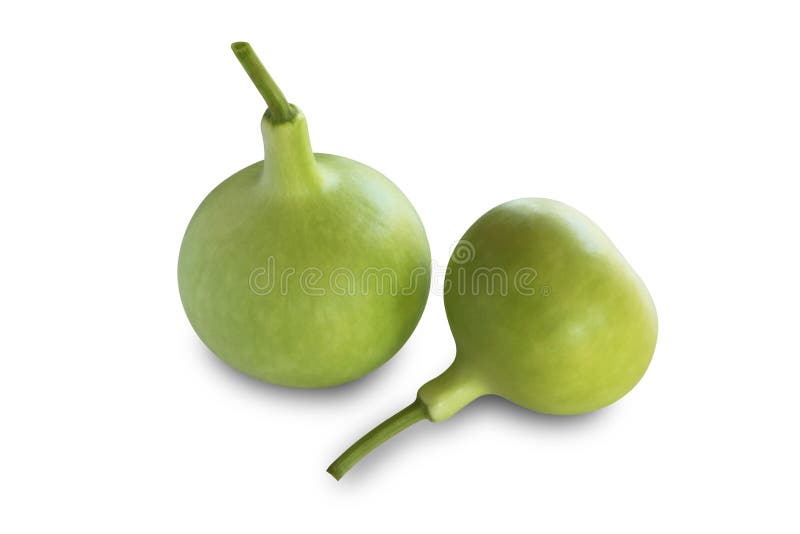 Calabash Isolated on White Background with Clipping Path Stock Photo ...