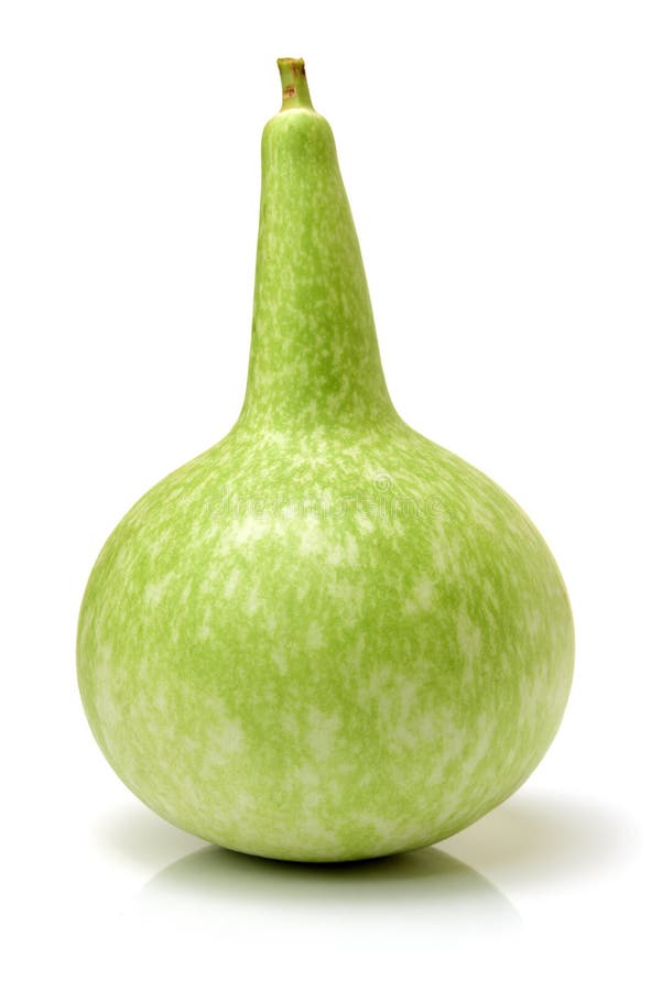 Calabash vegetable stock photo. Image of healthy, close - 102987328
